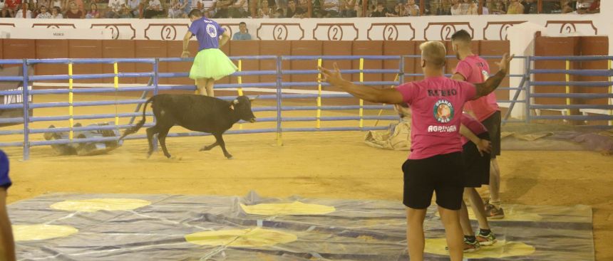 El Grand Prix convirtió la Plaza de Toros de Manzanares en una fiesta